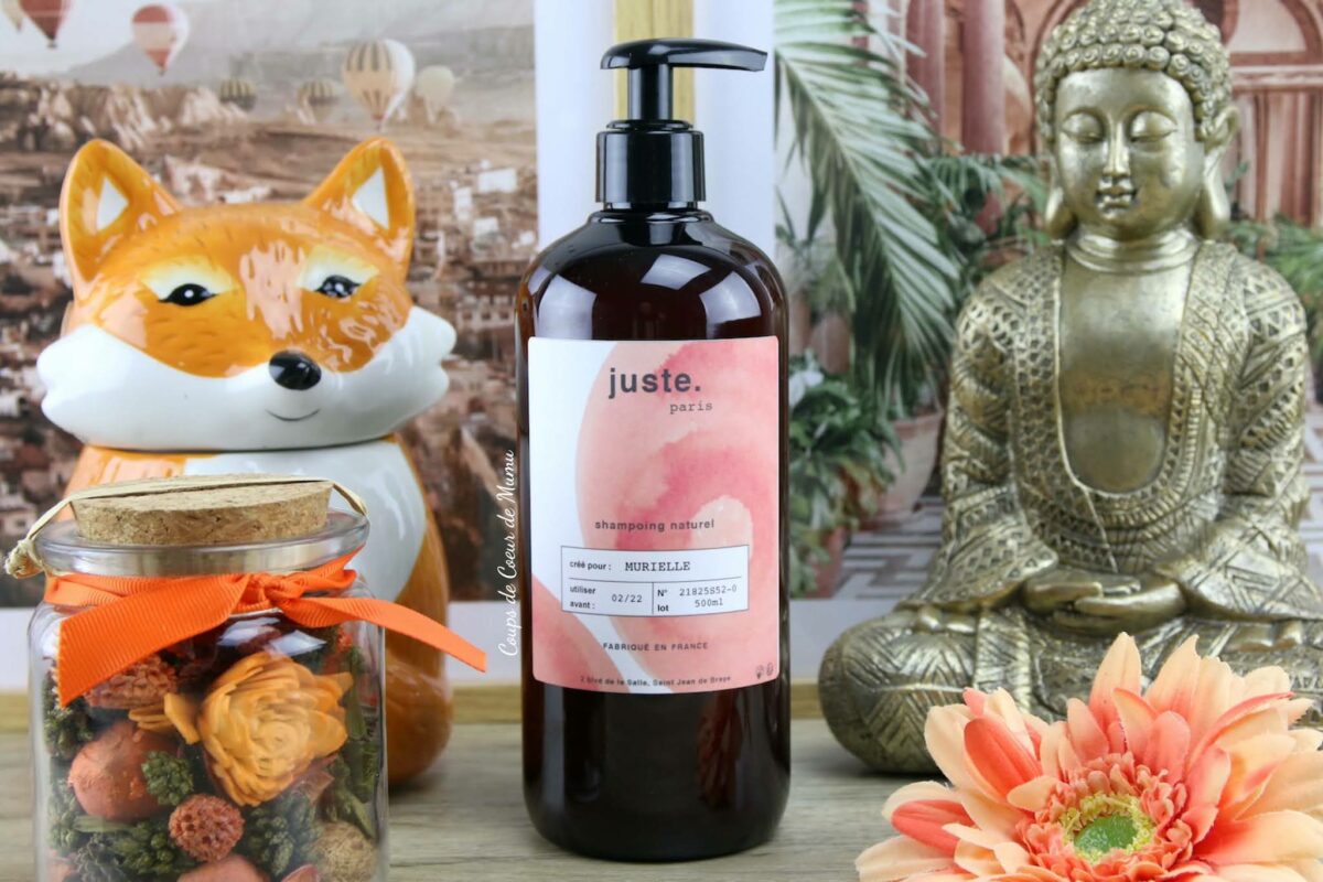 Juste Paris, mon avis sur mes Produits Capillaires In & Out Naturels et ...