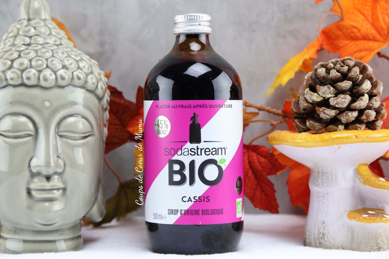 Degusta Box En Famille de Novembre 2023 (+Code Promo) - Coups de Coeur de Mumu